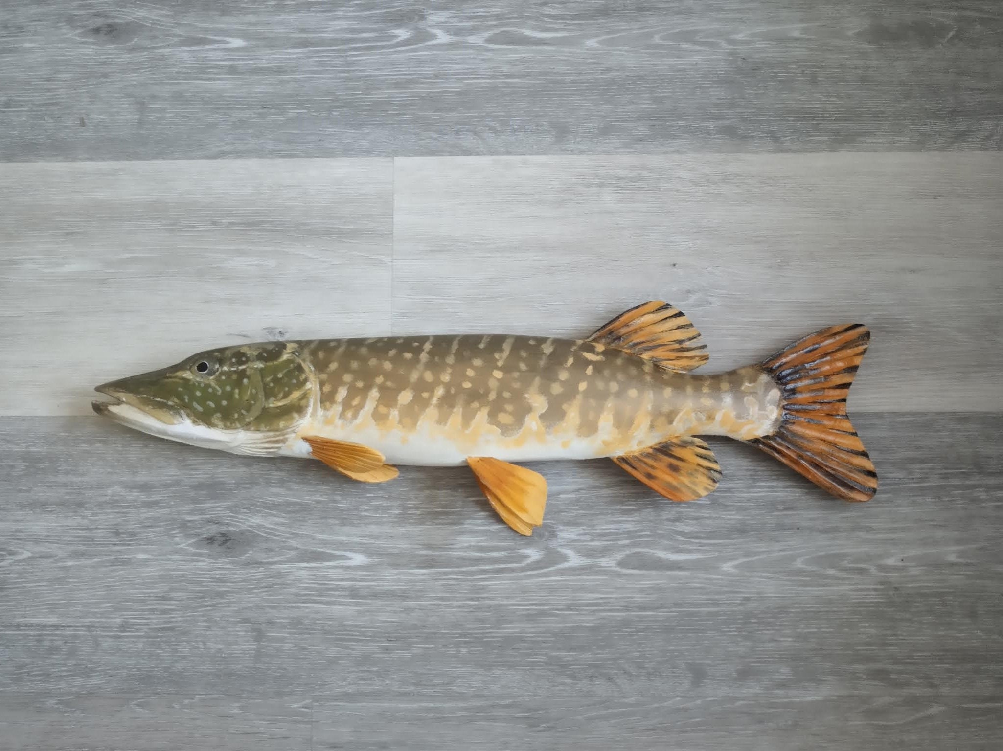 Northern Pike, Esox Lucius, Pike, 16-20 Inches 3D Wooden Fish, Both ...