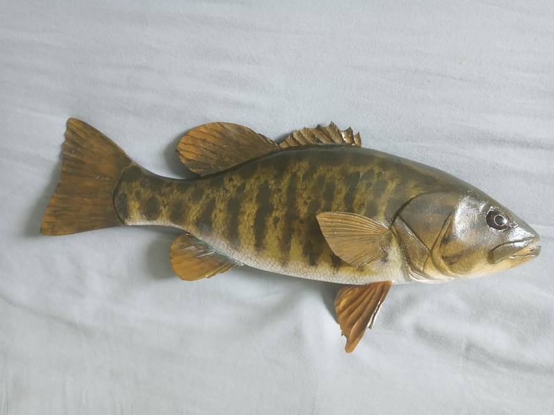 Smallmouth Bass, Micropterus Dolomieu, 16-20 Inches 3D Wooden Fish ...