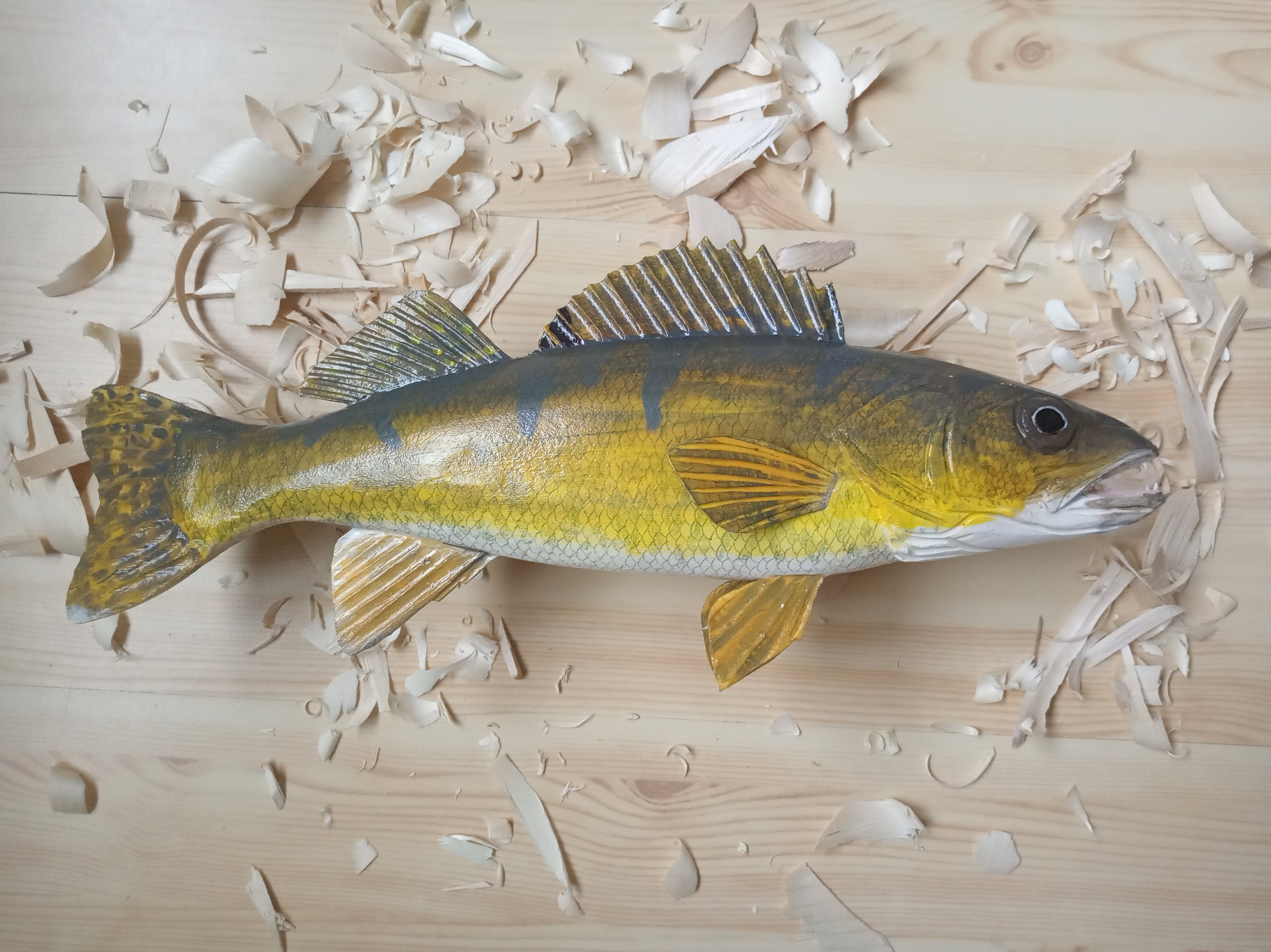 Walleye, Sander Vitreus, Yellow Walleye, 16-20 Inches 3D Wooden Fish ...
