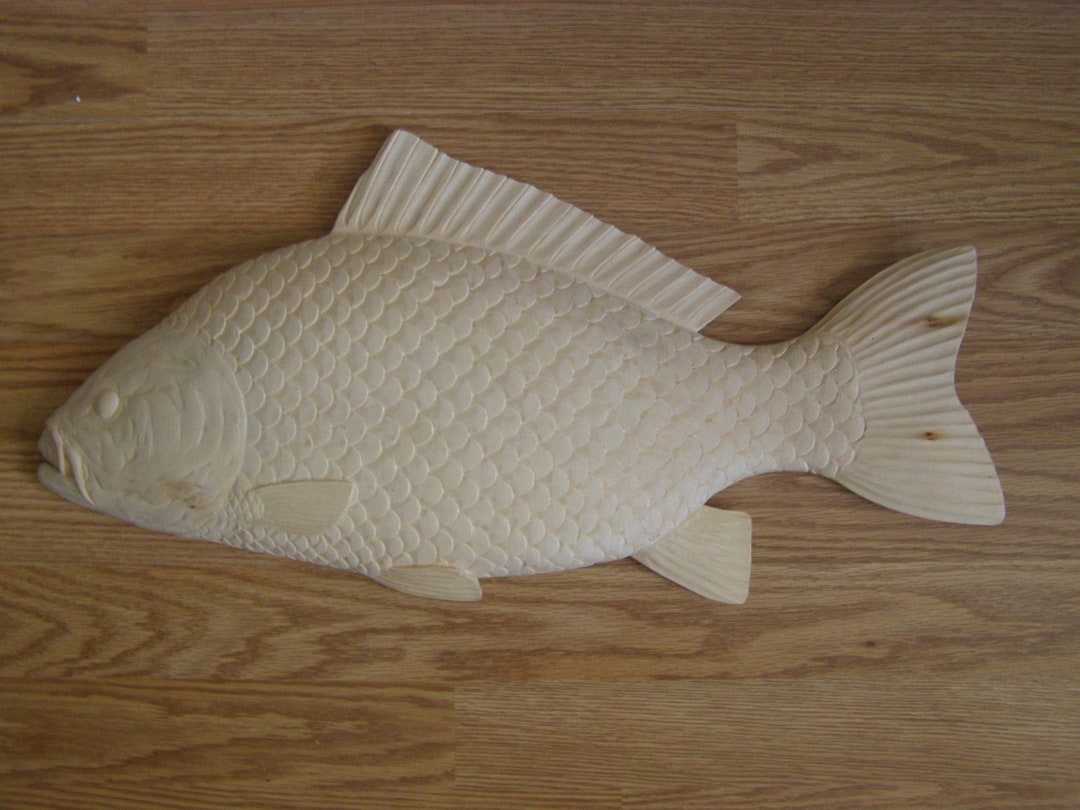 Common Carp Fish Blank, Scalled Carp, 11- 15 Inches 3D Wall Mounted ...