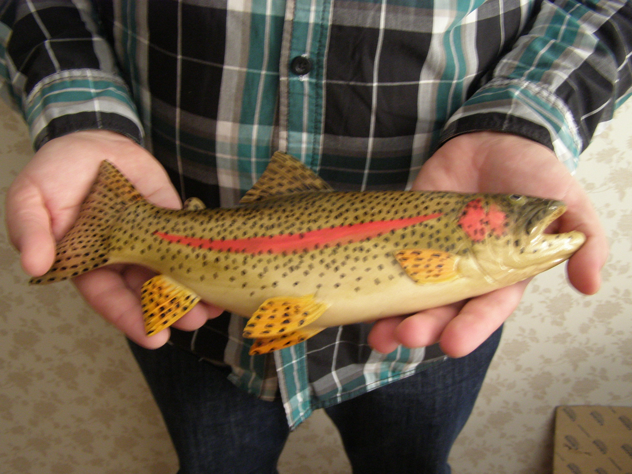 Rainbow Trout, Oncorhynchus Mykiss, Steelhead, 11-15 Inches 3D Wooden ...