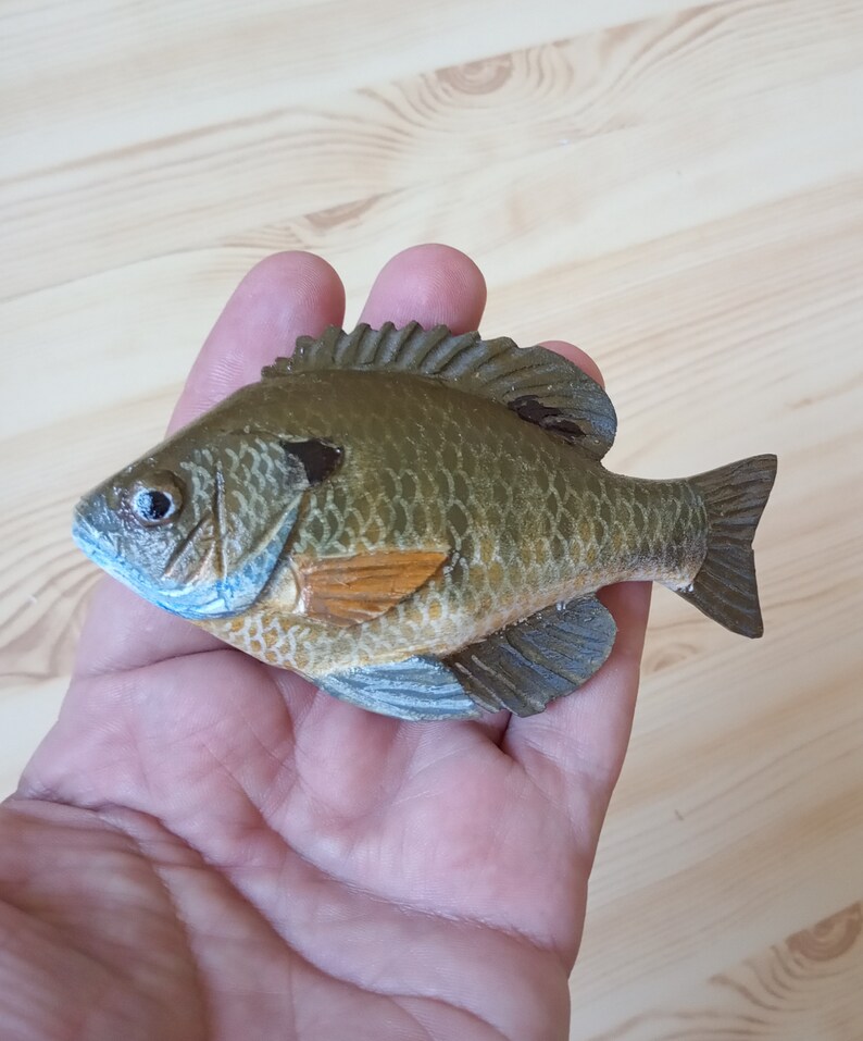 Male Bluegill, Lepomis Macrochirus, 5-10 Inches 3D Wooden Fish, Both ...