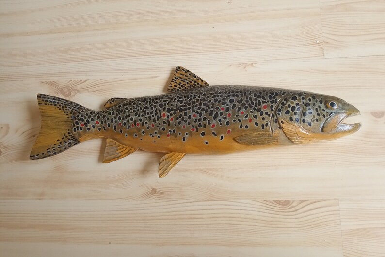 Brown Trout, Salmo Trutta, River Trout, 11-15 Inches 3D Wooden Fish ...