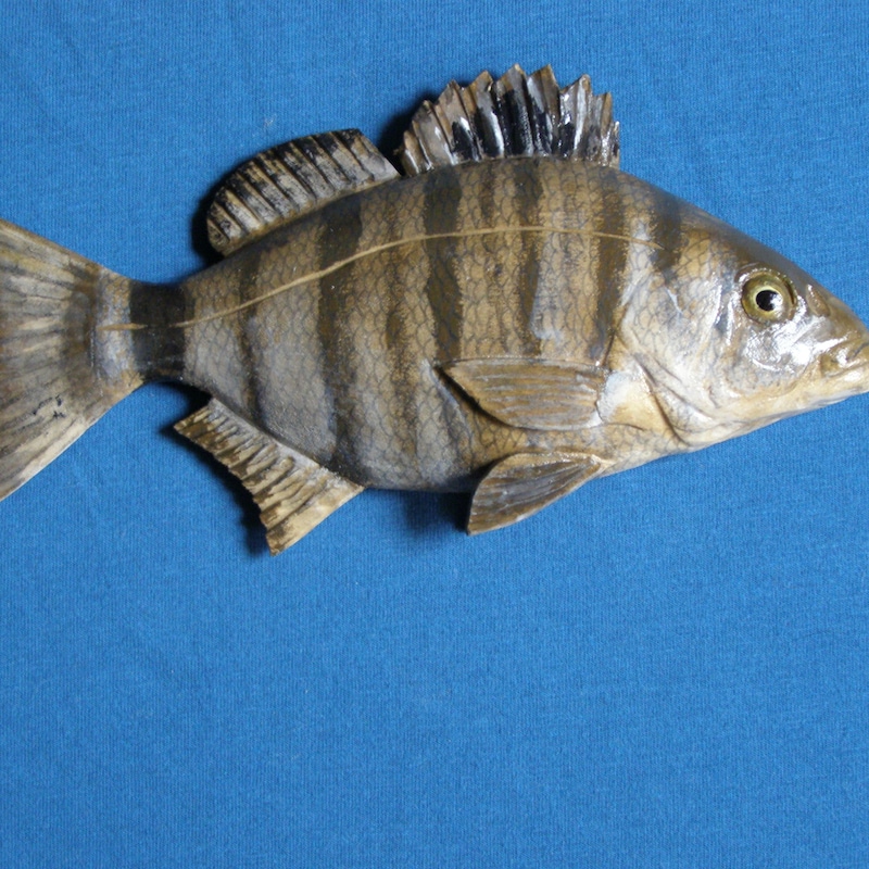 Redfish Wood Art - Etsy