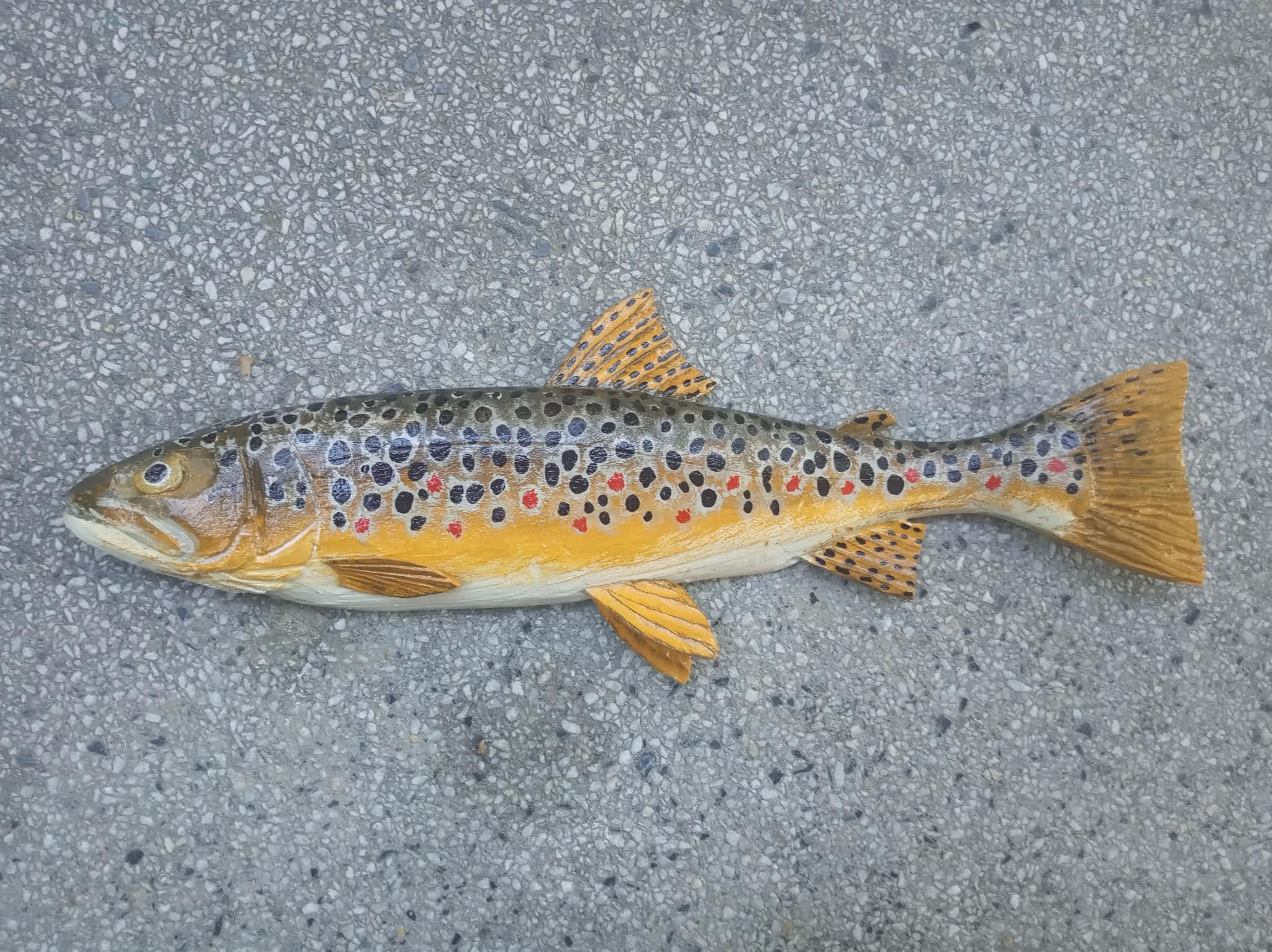 Brown Trout, Salmo Trutta, River Trout, 5-10 Inches 3D Wall Wooden Fish ...