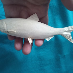 Herring, Alose, Shad, 5-10 Inches 3D Wooden Fish Blank, Both Sides ...