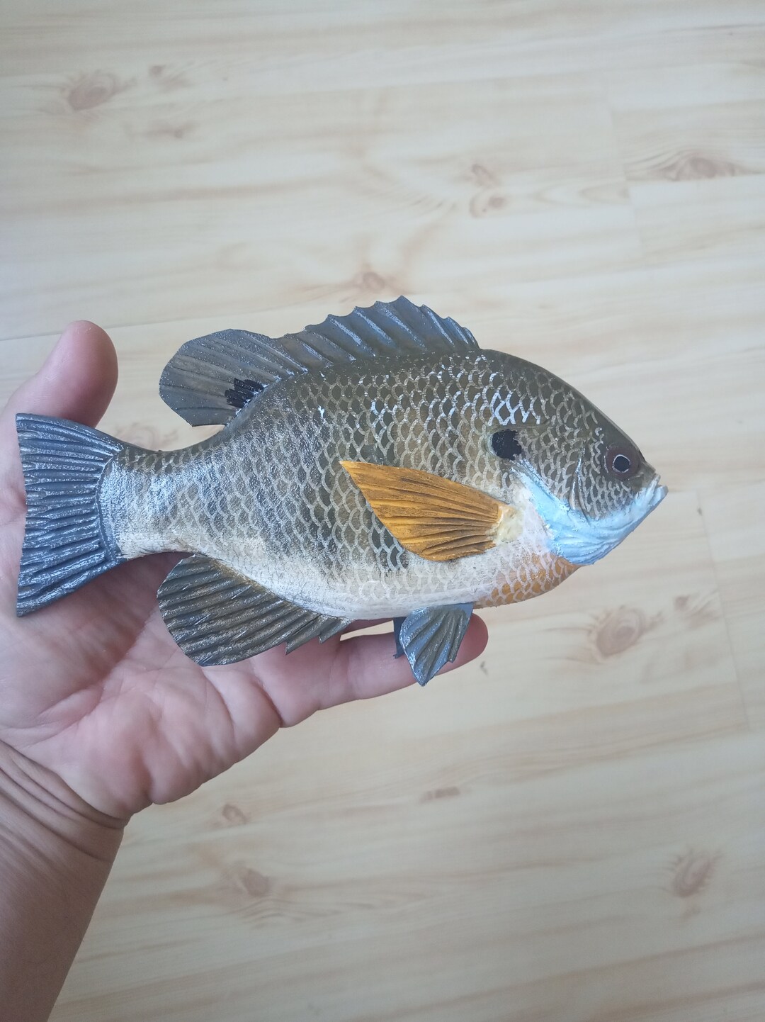 Male Bluegill, Lepomis Macrochirus, 5-10 Inches 3D Wall Wooden Fish ...