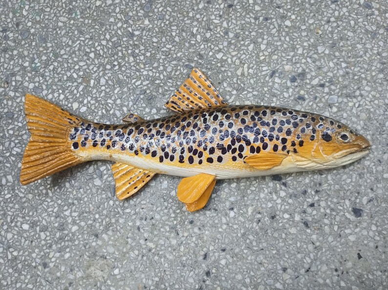 Brown Trout, Salmo Trutta, River Trout, 5-10 Inches 3D Wall Wooden Fish ...