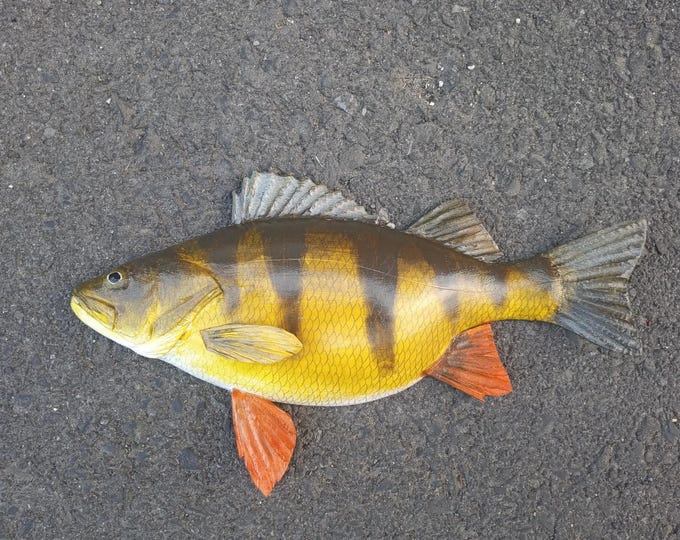Yellow Perch, Perca Flavescens, American Perch, 16-20 Inches 3D Wooden ...