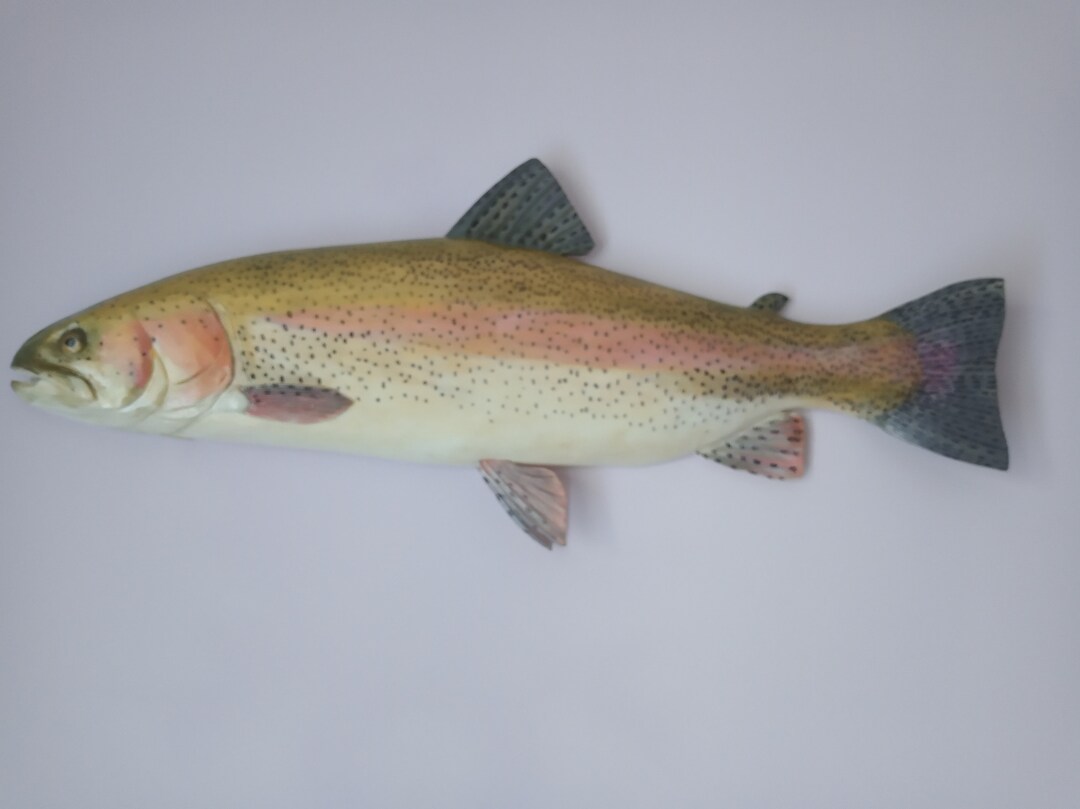 Rainbow Trout, Oncorhynchus Mykiss, Steelhead Trout, 26-30 Inches 3D ...