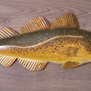 Atlantic Cod, Gadus Morhua, Cod, 11-15 Inches 3D Wooden Fish, Both ...