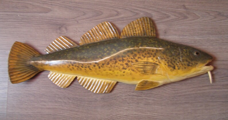 Atlantic Cod, Gadus Morhua, Cod, 11-15 Inches 3D Wooden Fish, Both ...