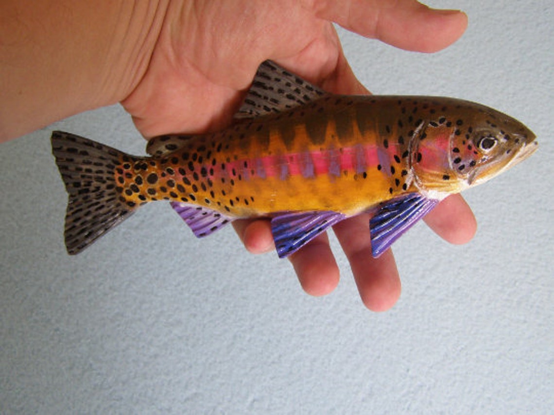Juvenile Lahontan Cutthroat Trout, Oncorhynchus Clarkii Henshawi, 5-10 ...