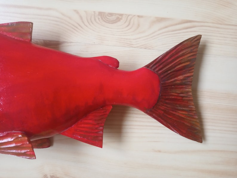 Spawning Male Sockeye Salmon, Oncorhynchus Nerka, Red Salmon, 16-20 ...