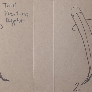 Herring, Alose, Shad, 5-10 Inches 3D Wooden Fish Blank, Both Sides ...