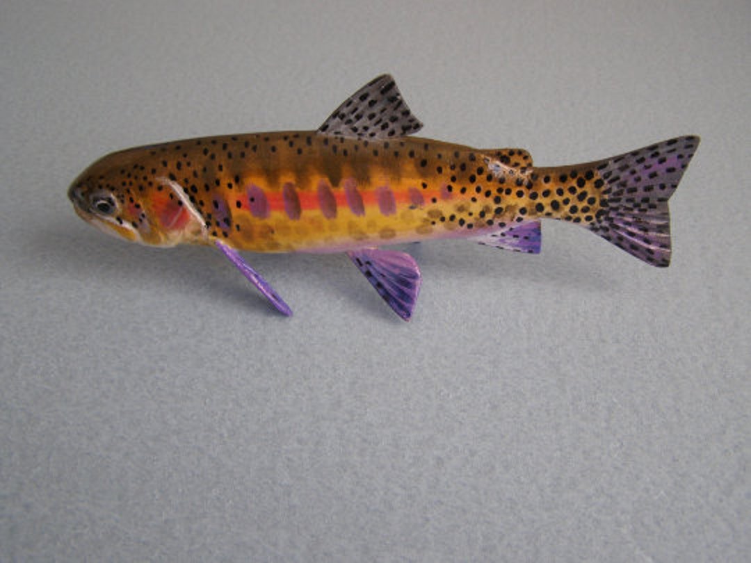 Juvenile Lahontan Cutthroat Trout, Oncorhynchus Clarkii Henshawi, 5-10 ...