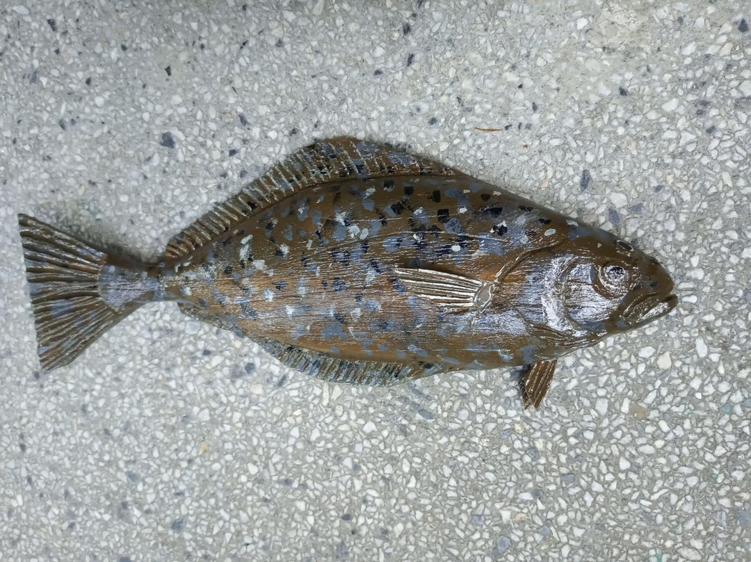 Halibut, 5-10 Inches 3D Wall Wooden Fish, One Side Hand Carved and ...