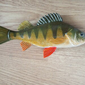 Yellow Perch, Perca Flavescens, American Perch, 5-10 Inches 3D Wall ...
