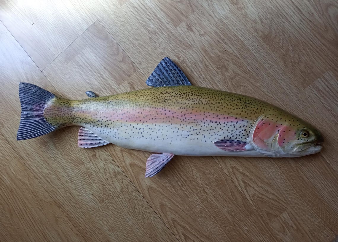 Rainbow Trout, Oncorhynchus Mykiss, Steelhead Trout, 31-35 Inches 3D ...