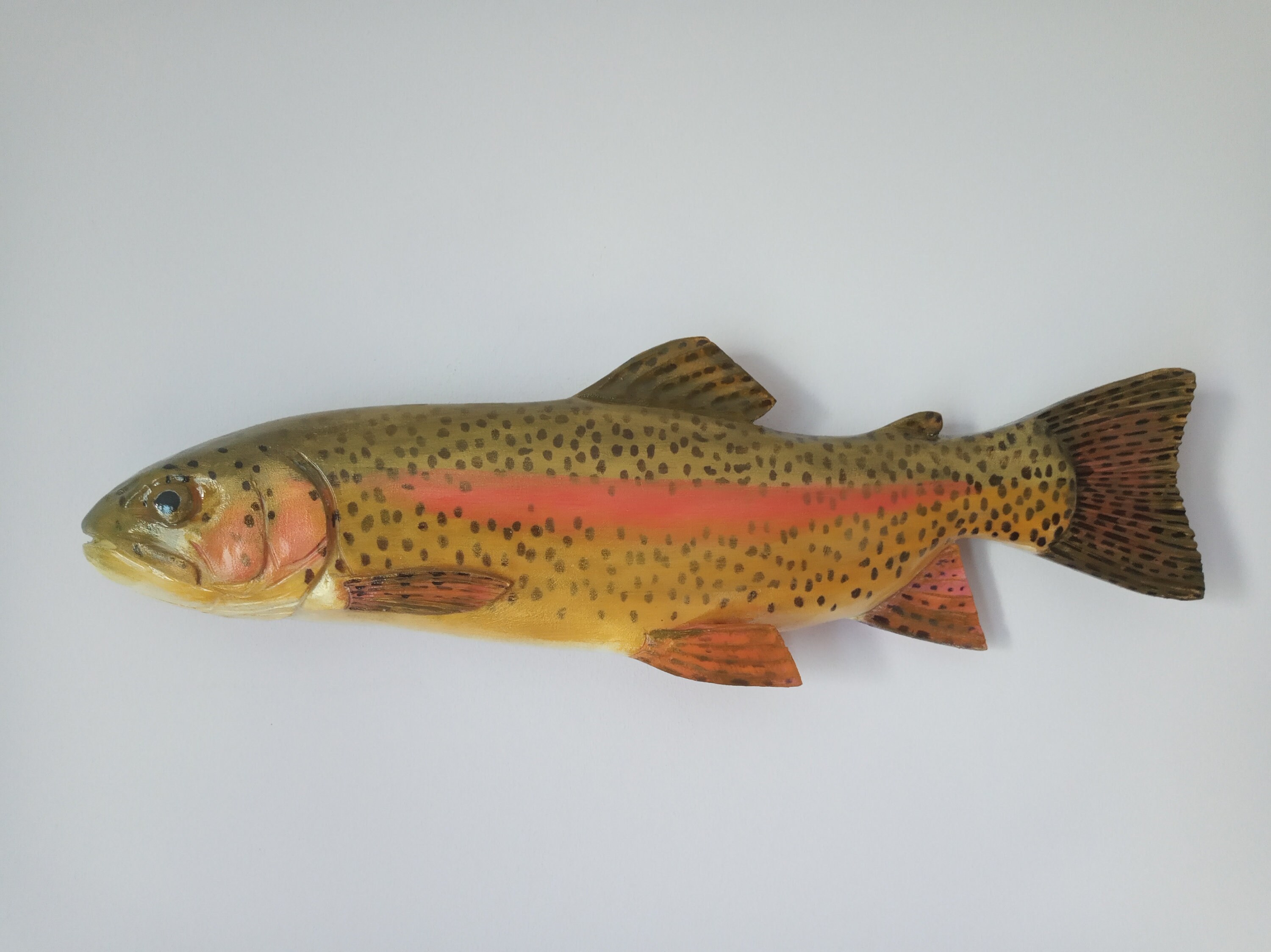 Rainbow Trout, Oncorhynchus Mykiss, Steelhead, 11-15 Inches 3D Wooden ...