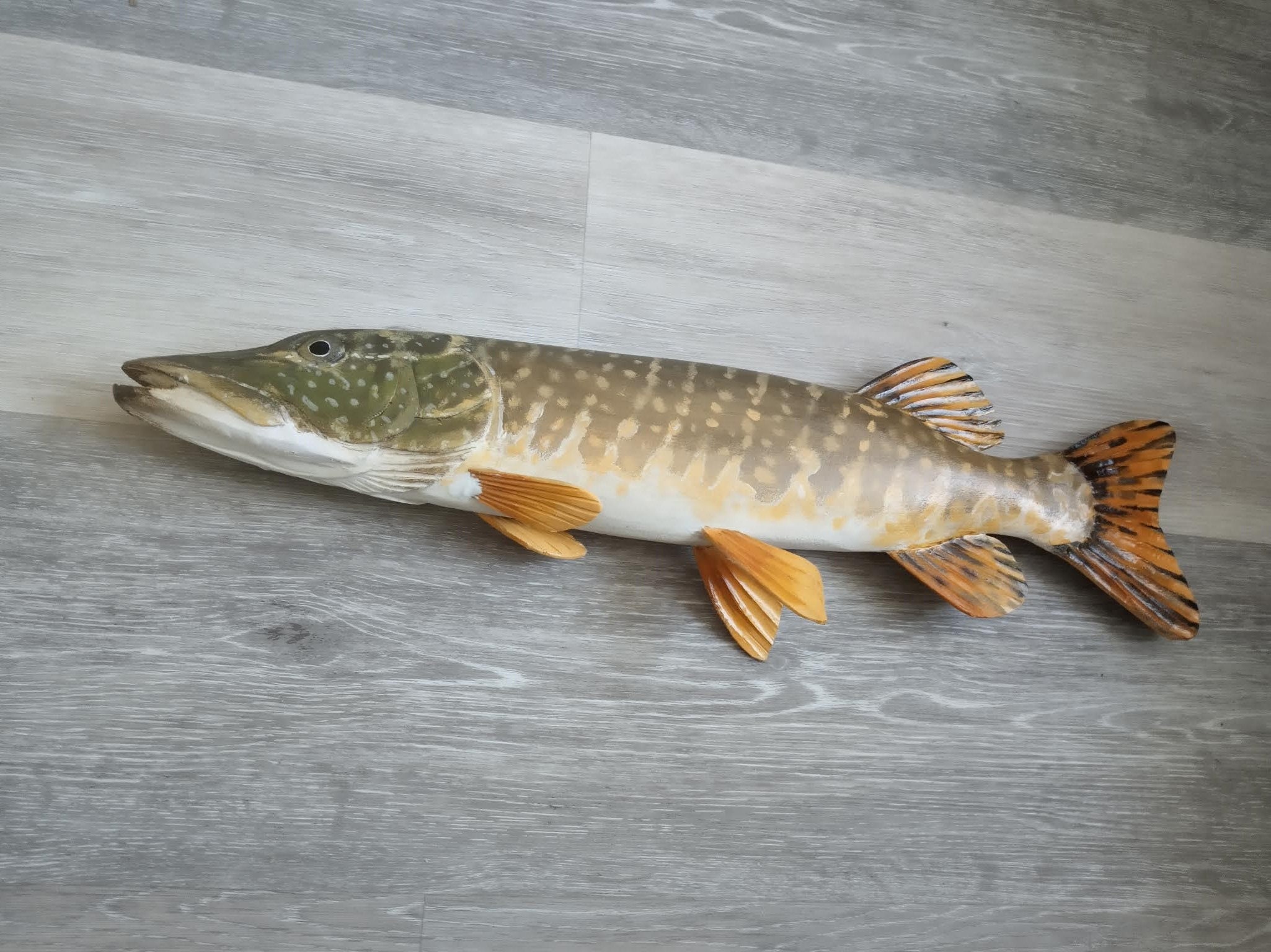 Northern Pike, Esox Lucius, Pike, 16-20 Inches 3D Wooden Fish, Both ...