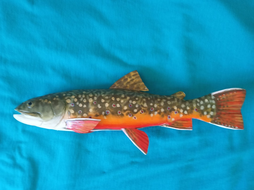 Brook Trout, Salvelinus Fontinalis, 11-15 Inches 3D Wooden Fish, Both ...