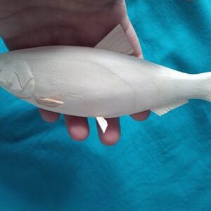 Herring, Alose, Shad, 5-10 Inches 3D Wooden Fish Blank, Both Sides ...
