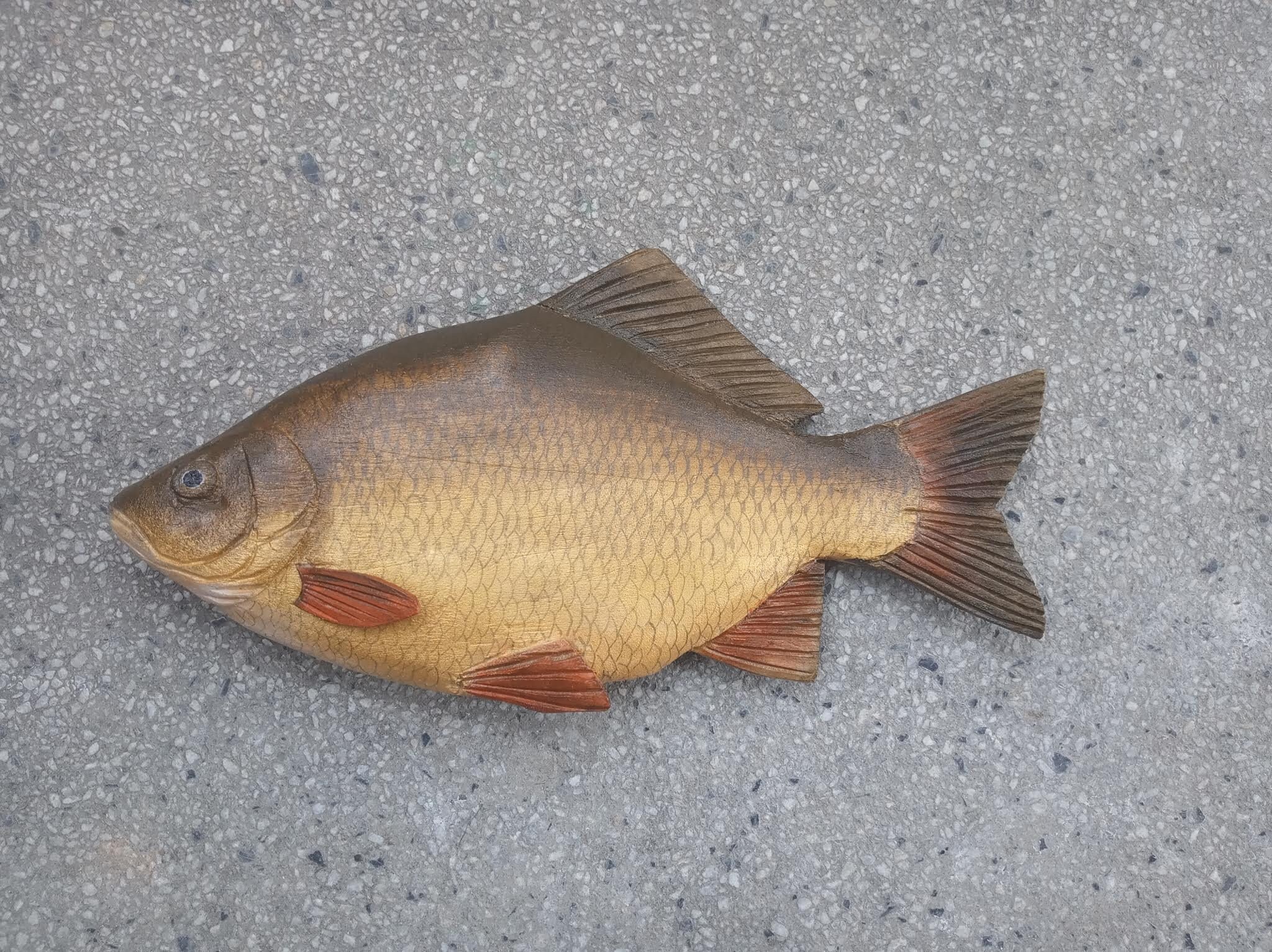 Crucian Carp, Carassius Carassius,wild Goldfish, 5-10 Inches 3D Wooden ...