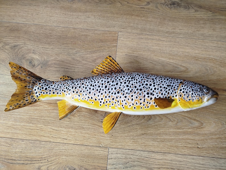 Brown Trout, Salmo Trutta, River Trout, 31-35 Inches 3D Wall Wooden ...