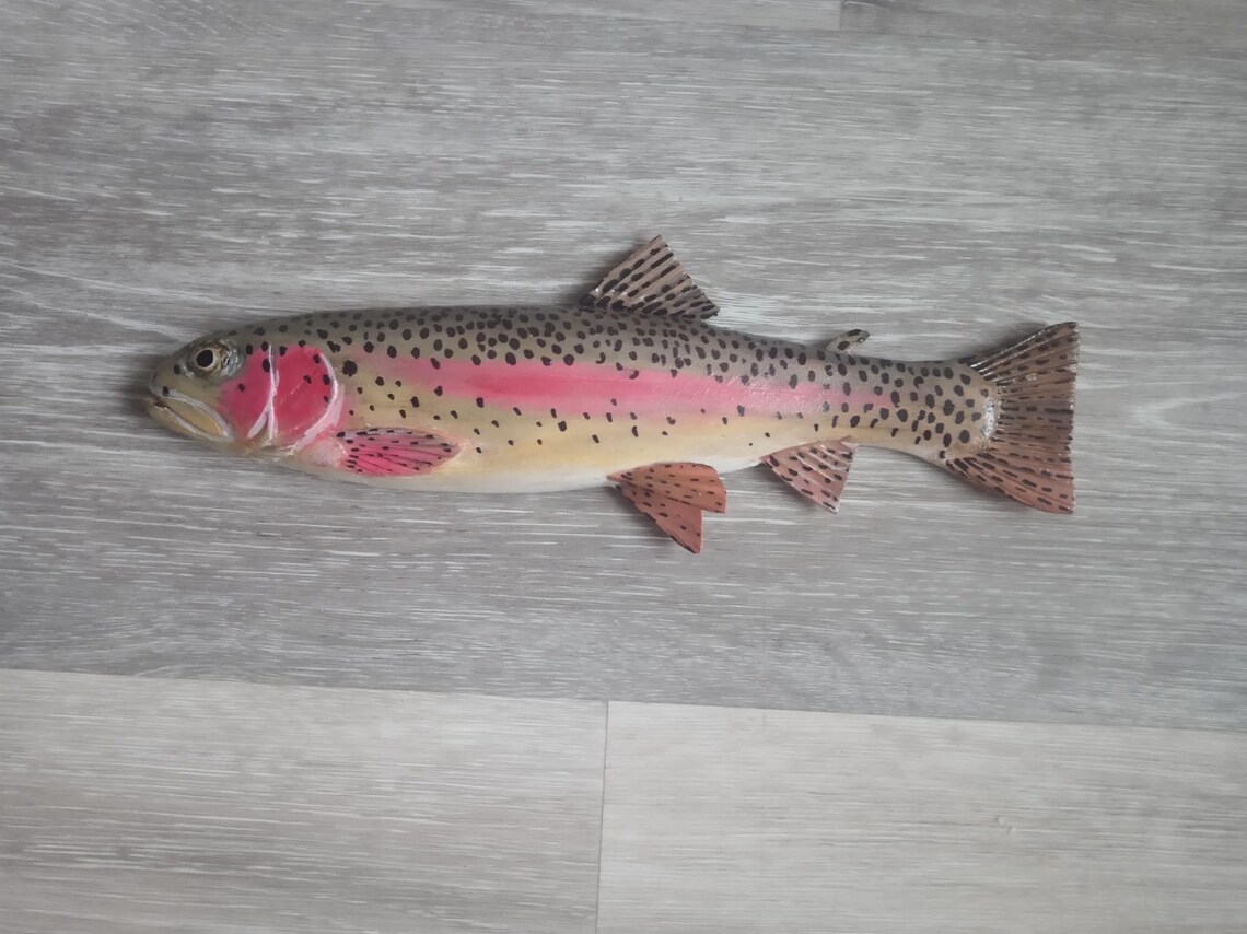 Rainbow Trout, Oncorhynchus Mykiss, Steelhead, 5-10 Inches 3D Wall ...
