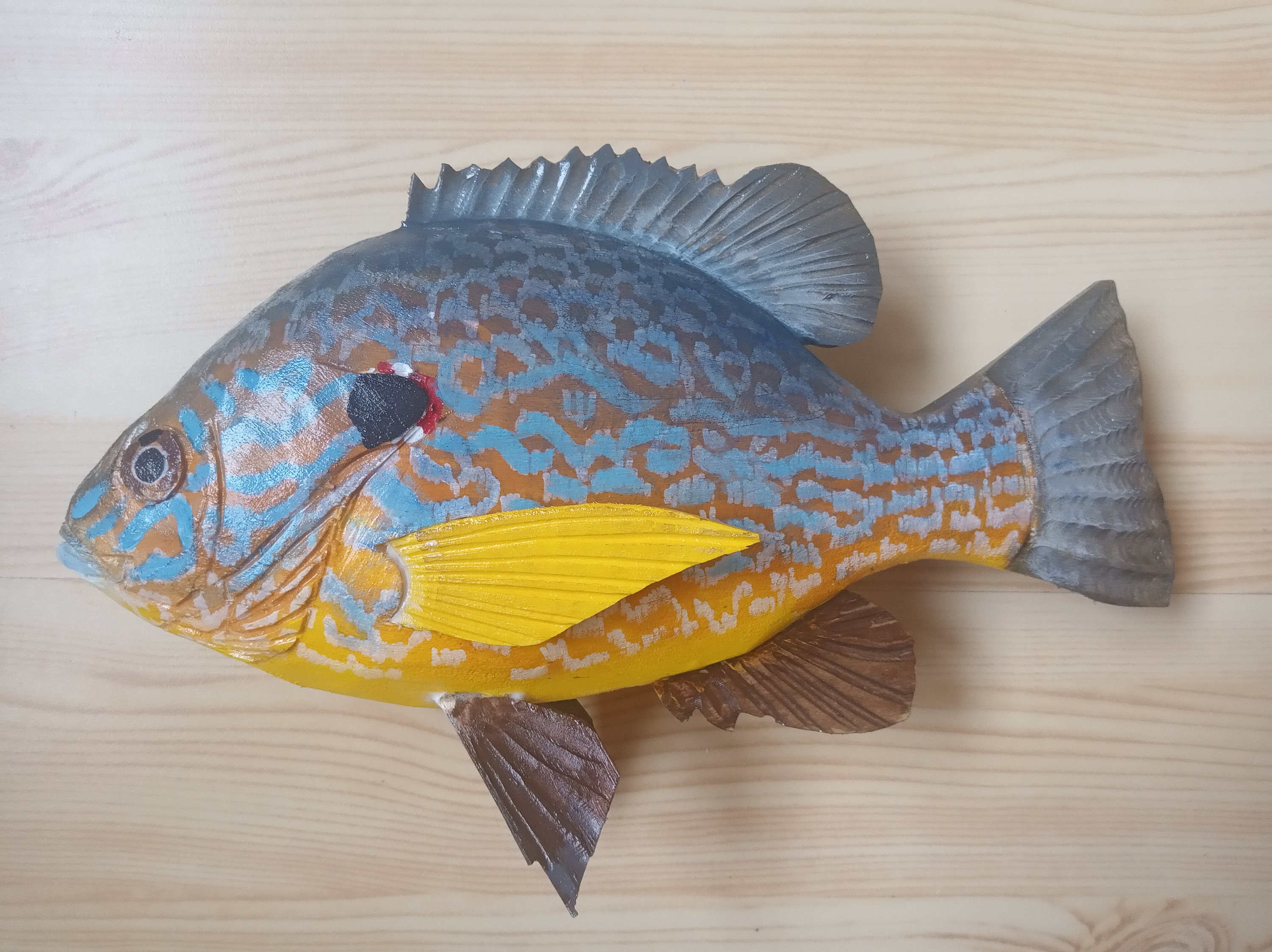 Pumpkinseed Sunfish, Lepomis Gibbosus, Pond Perch, Common Sunfish, 11 ...
