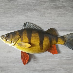 Yellow Perch, Perca Flavescens, American Perch, 11-15 Inches 3D Wall ...