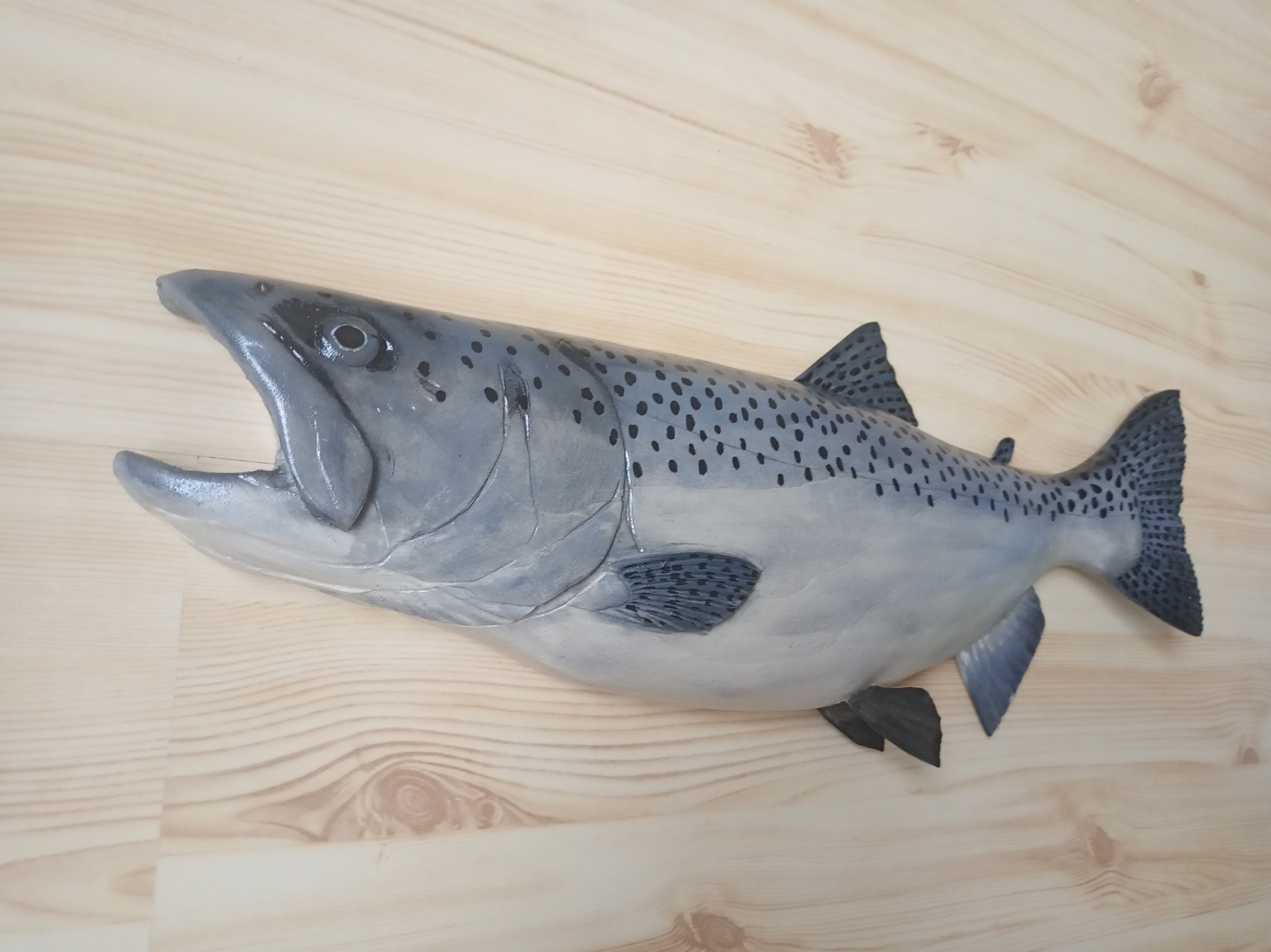 Silver Male King Salmon, Oncorhynchus Tshawytscha, Chinook Salmon, 21 ...