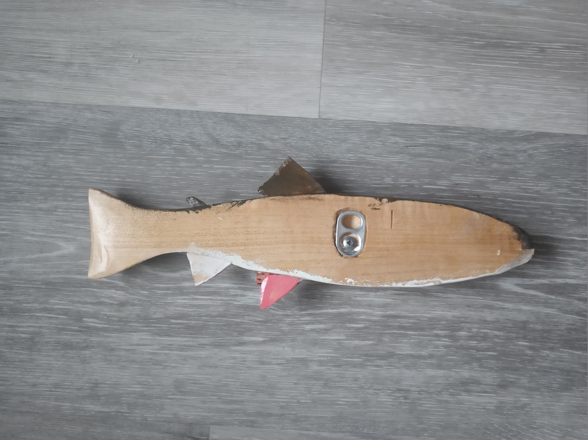 Rainbow Trout, Oncorhynchus Mykiss, Steelhead, 5-10 Inches 3D Wall ...