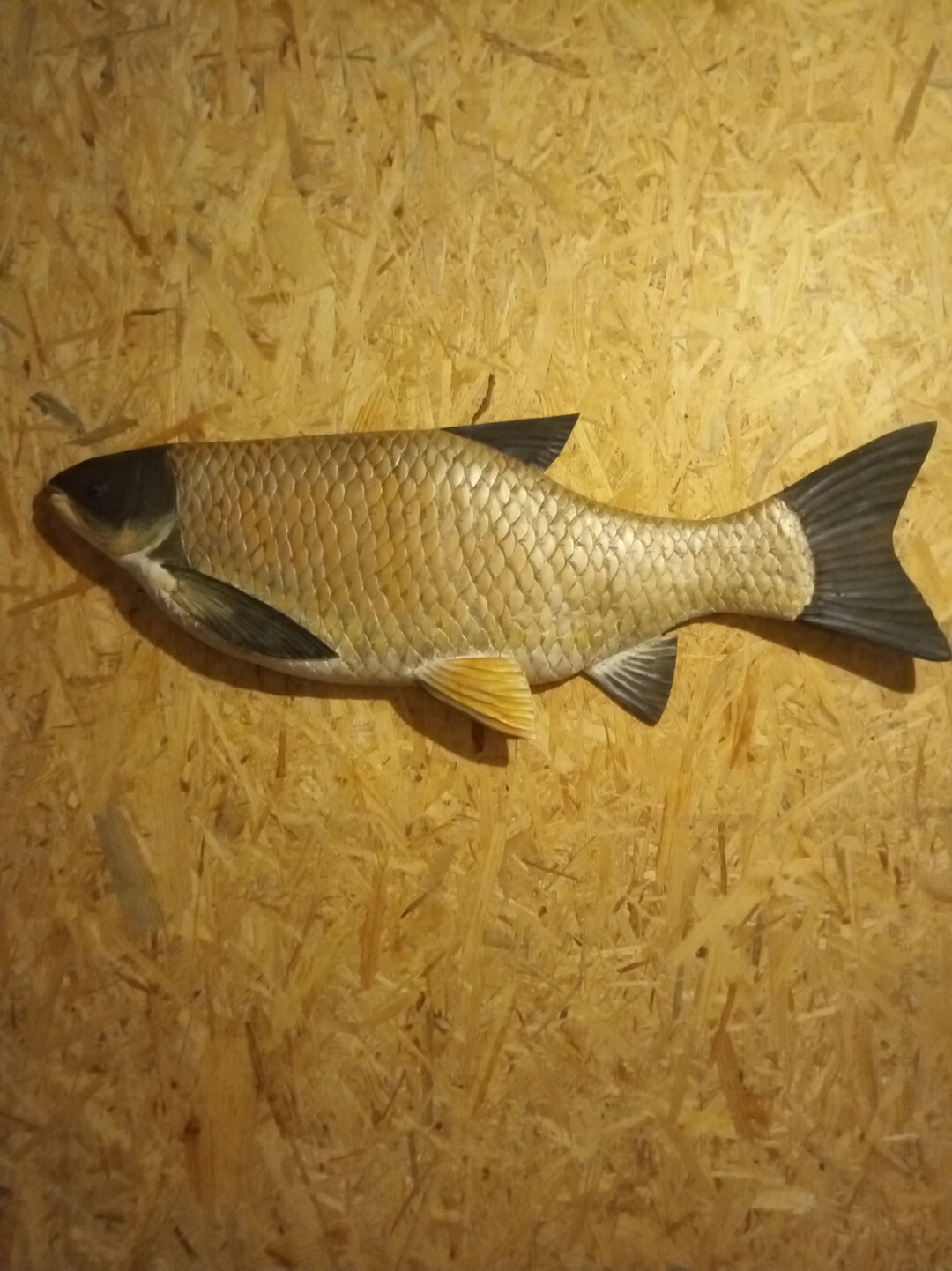 Grass Carp, Ctenopharyngodon Idella, 36-40 Inches 3D Wall Wooden Fish ...