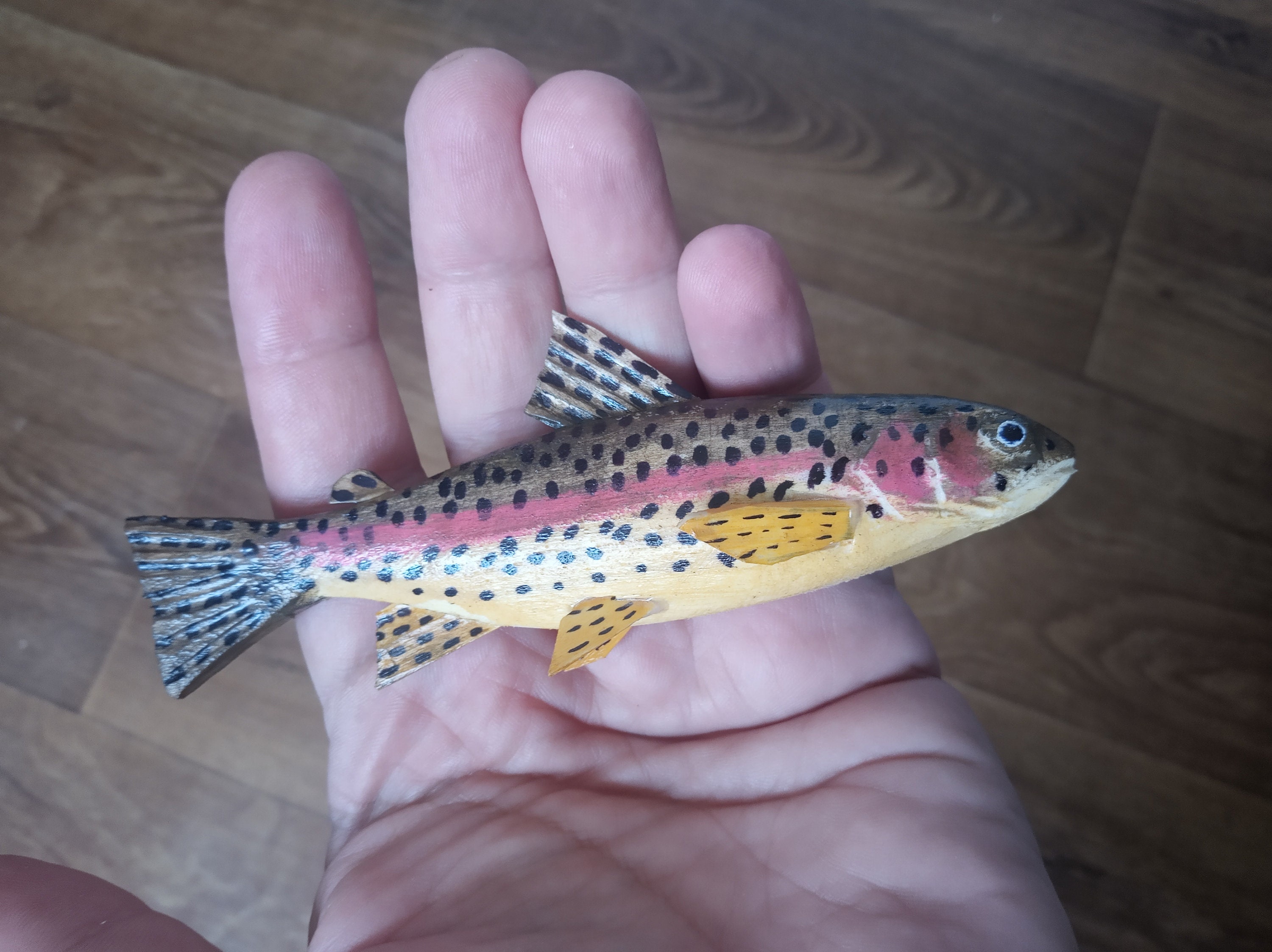 Rainbow Trout, Oncorhynchus Mykiss, Steelhead, 5-10 Inches 3D Wall ...
