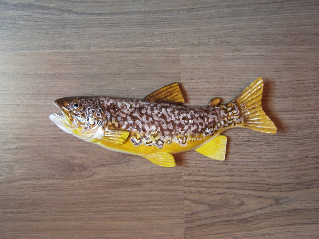 Marble Trout, Salmo Marmoratus, 5-10 Inches 3D Wall Wooden Fish, One ...