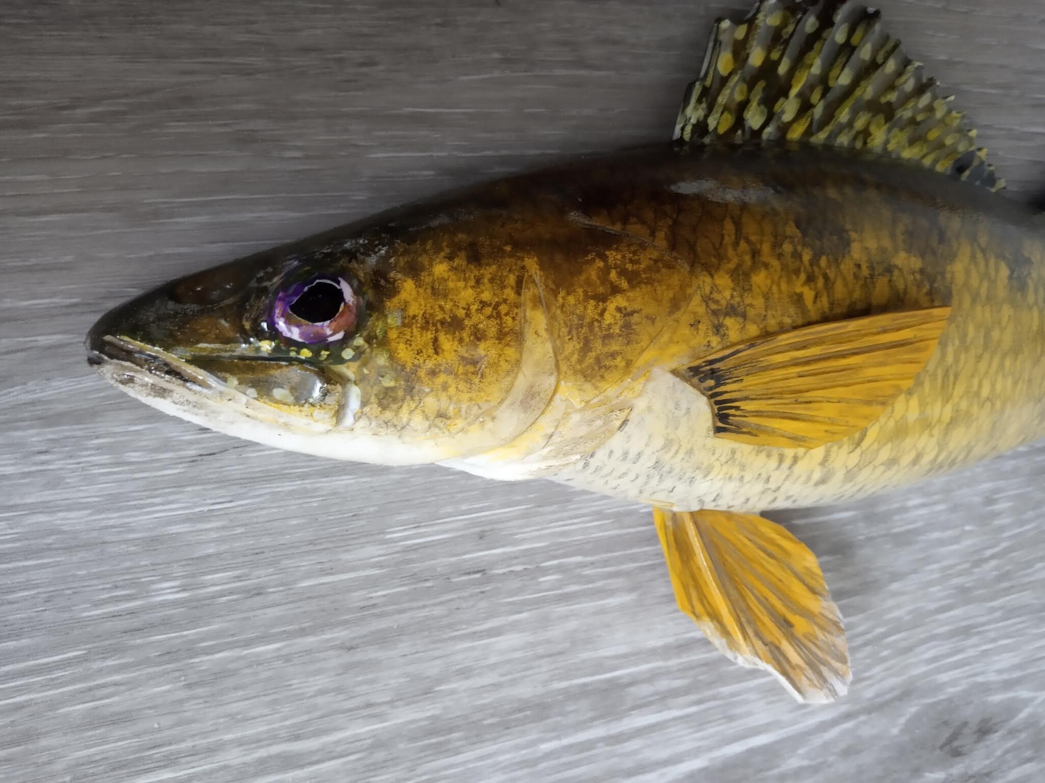 Walleye, Sander Vitreus, Yellow Walleye, 11-15 Inch 3D Wall Wooden Fish ...