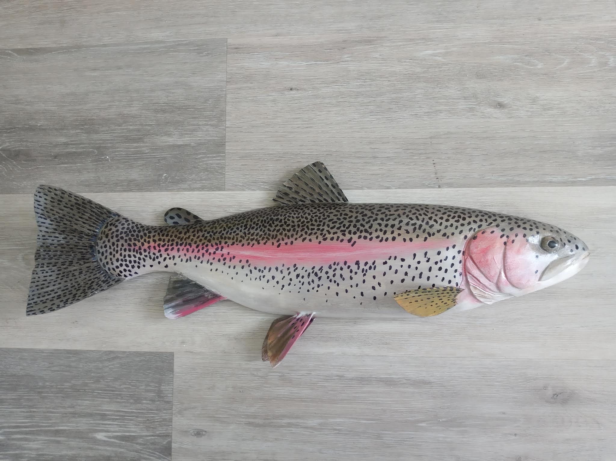 Rainbow Trout, Oncorhynchus Mykiss, Steelhead Trout, 21-25 Inches 3D ...