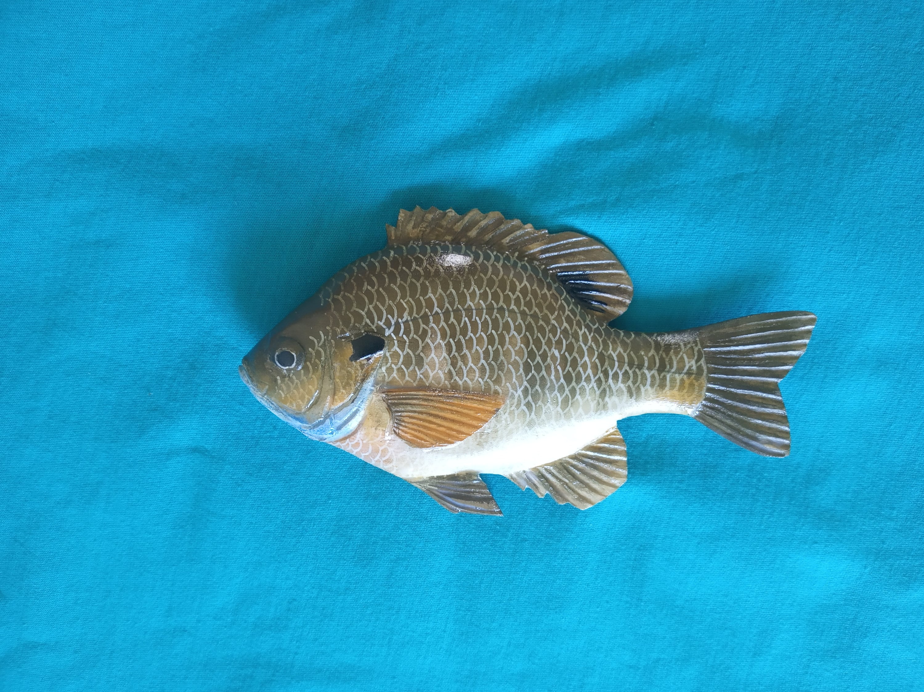 Female Bluegill, Lepomis Macrochirus, 5-10 Inches 3D Wall Wooden Fish ...