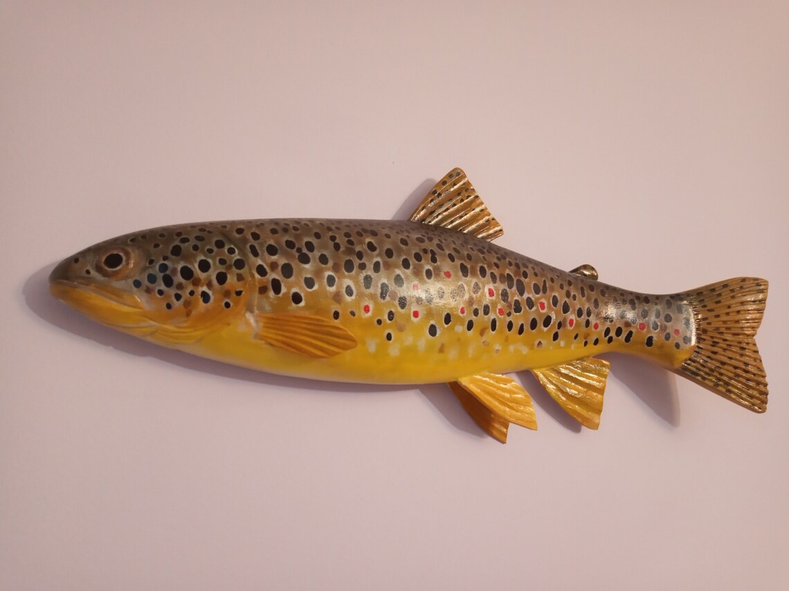 Brown Trout, Salmo Trutta, River Trout, 11-15 Inches 3D Wooden Fish ...