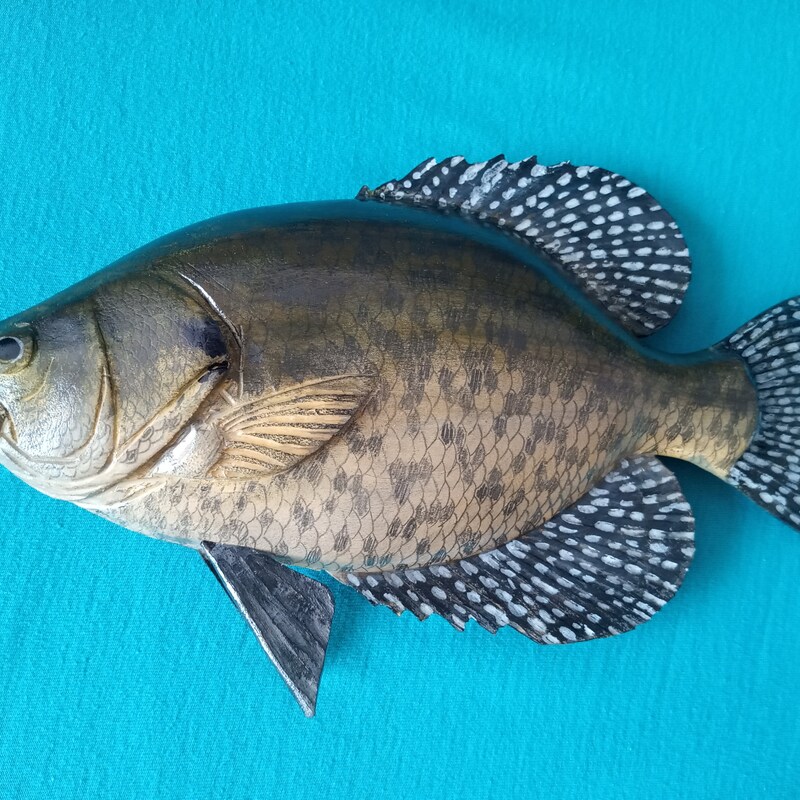Trophy Fish - Etsy
