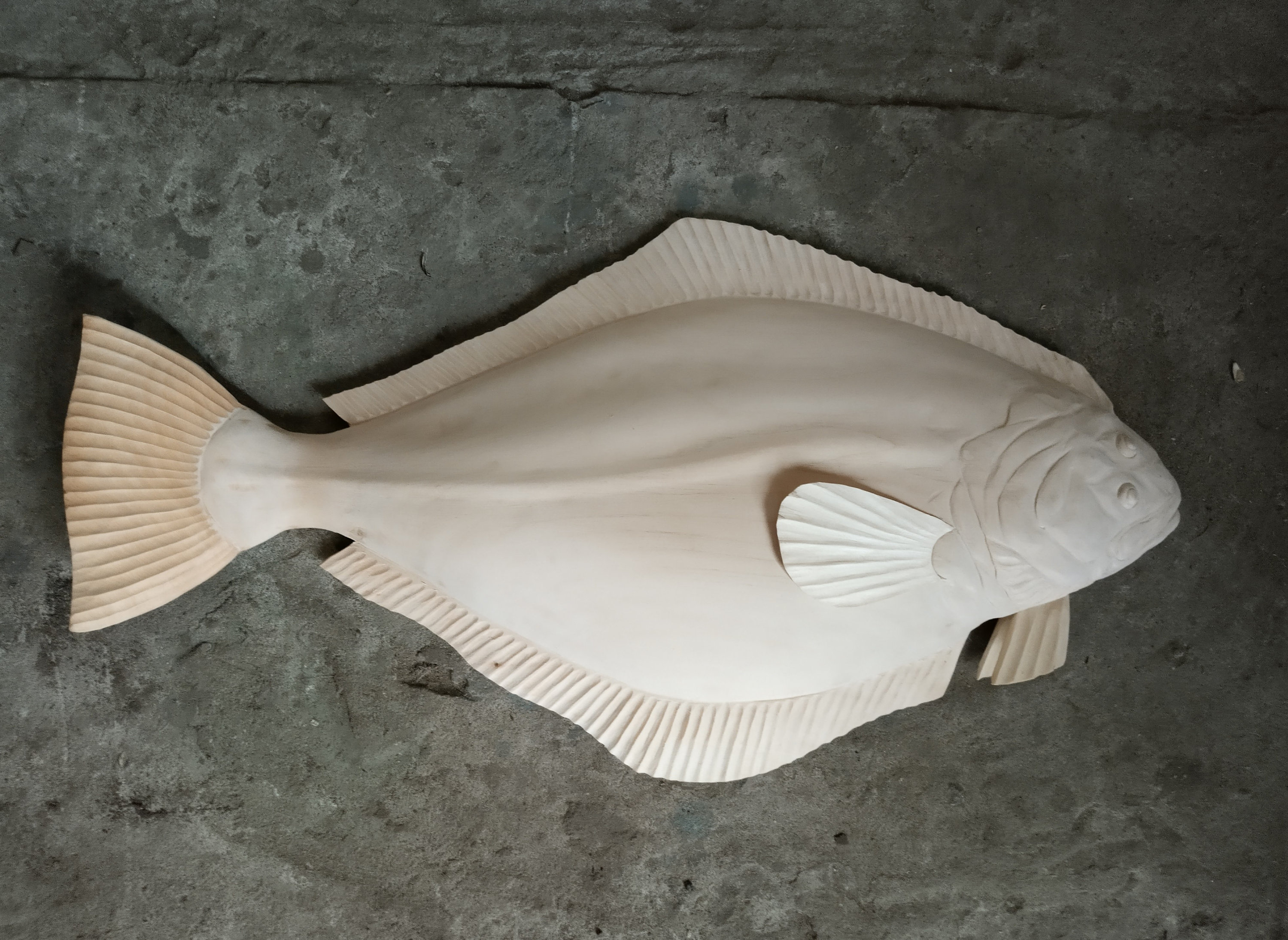 Halibut Fish Blank, 16-20 Inches 3D Wall Mounted Fish Blank, One Side ...