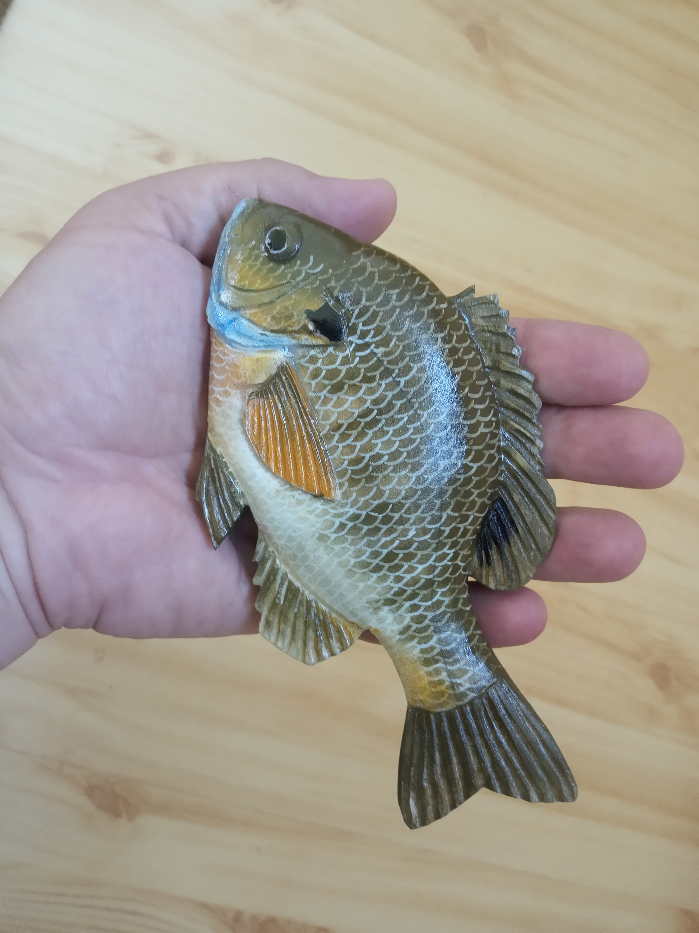 Female Bluegill, Lepomis Macrochirus, 5-10 Inches 3D Wall Wooden Fish ...