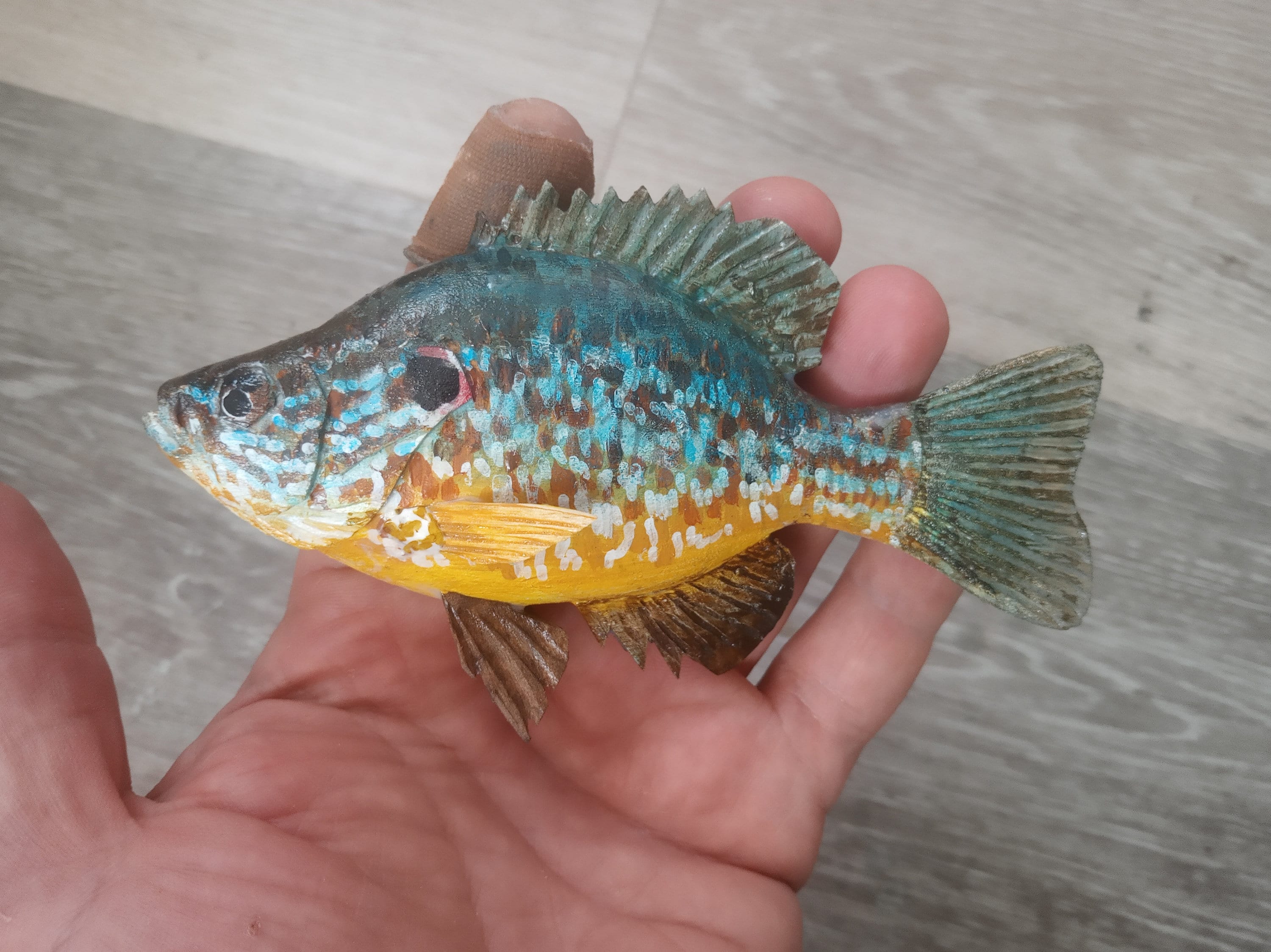 Pumpkinseed Sunfish, Lepomis Gibbosus, Pond Perch, Common Sunfish, 5-10 Inches 3D Wall Wooden ...