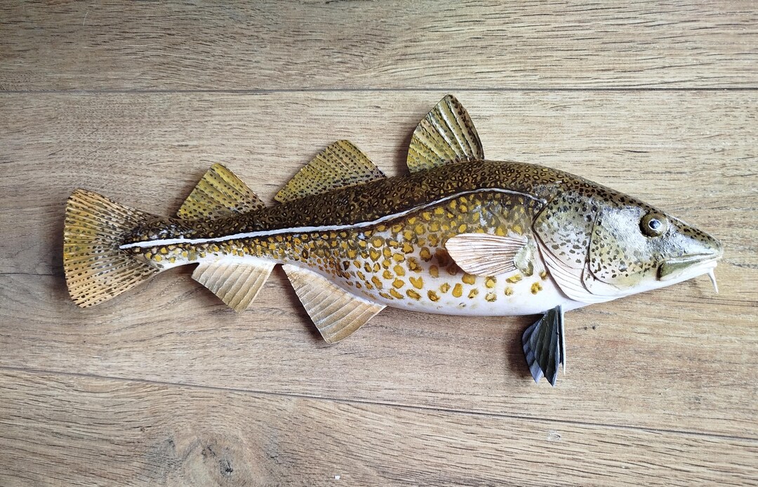 Atlantic Cod, Gadus Morhua, Cod, 11-15 Inch 3D Wall Wooden Fish, Carved ...