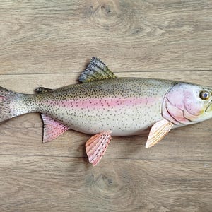 Rainbow Trout, Oncorhynchus Mykiss, Steelhead Trout, 31-35 Inches 3D ...