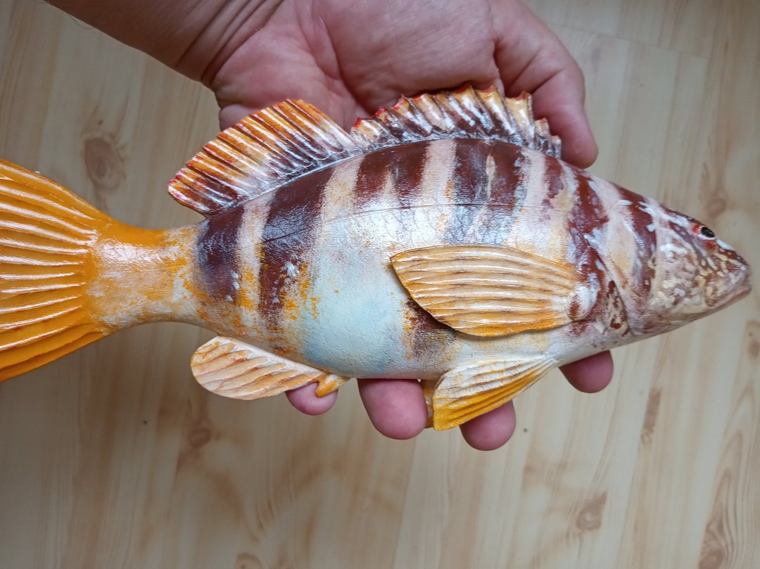 Painted Comber, Serranus Scriba, 5-10 Inches 3D Wooden Fish, Both Sides ...