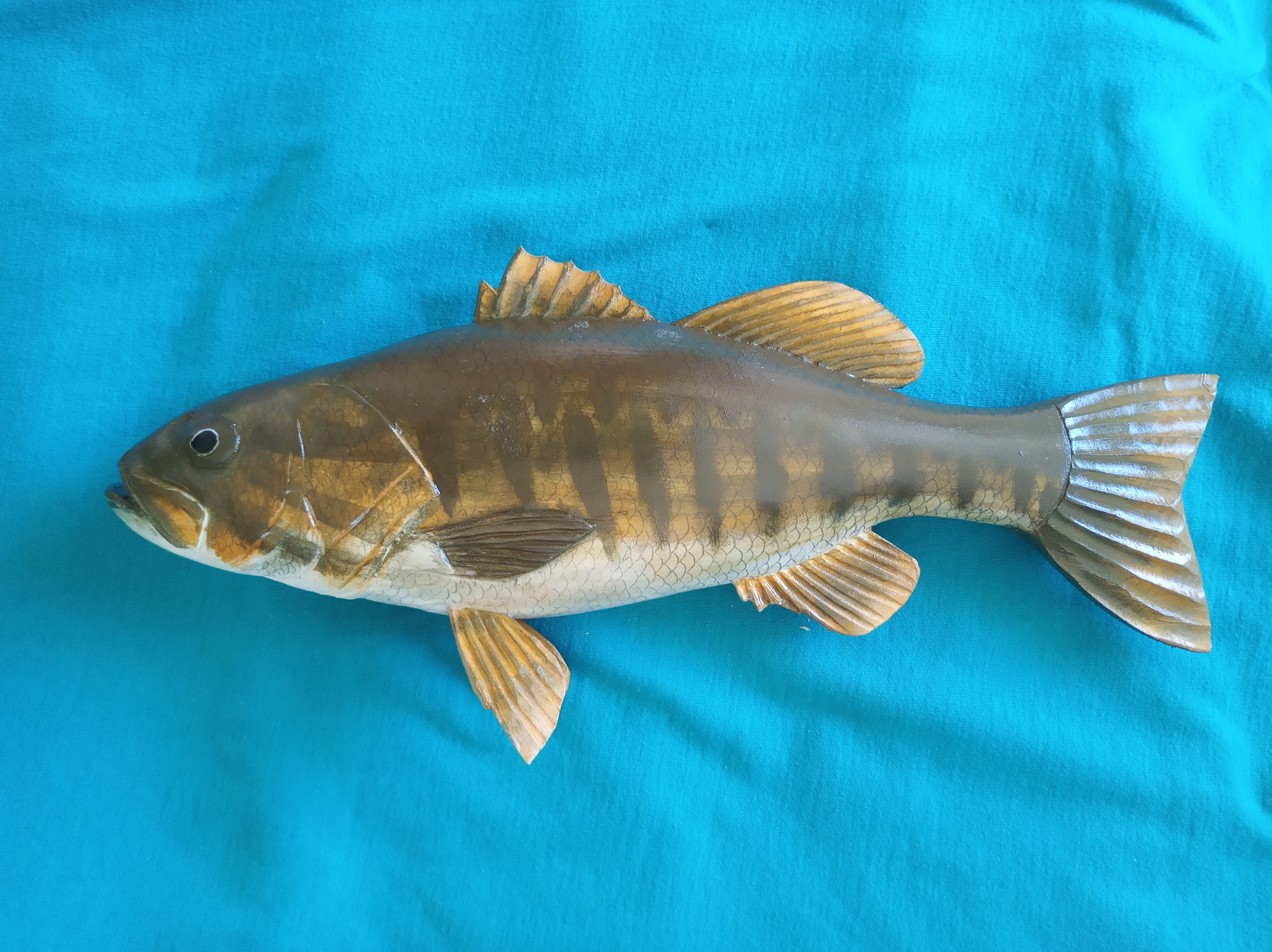 Smallmouth Bass, Micropterus Dolomieu, 11-15 Inches 3D Wooden Fish ...