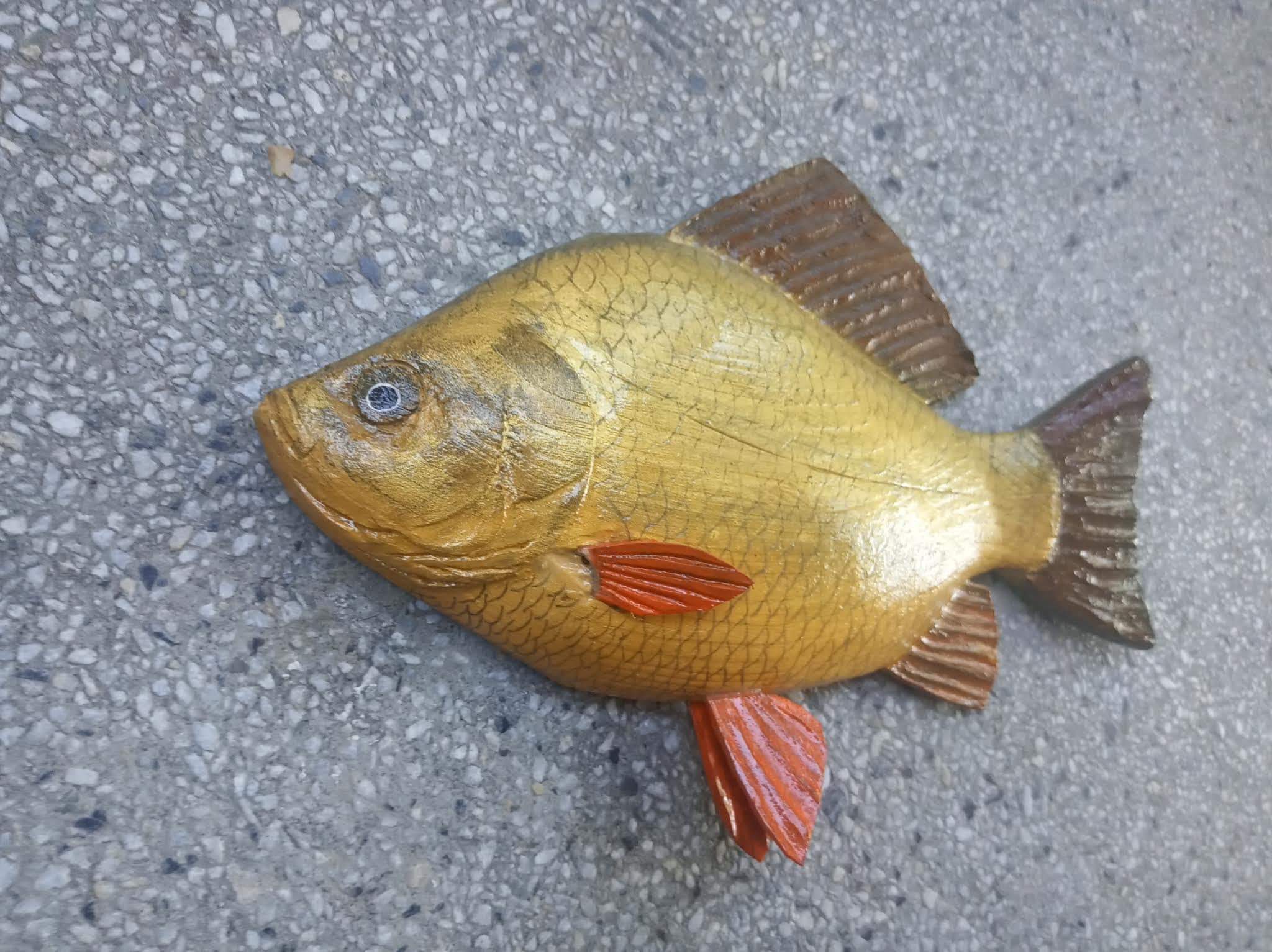 Crucian Carp, Carassius Carassius,wild Goldfish, 5-10 Inches 3D Wooden ...